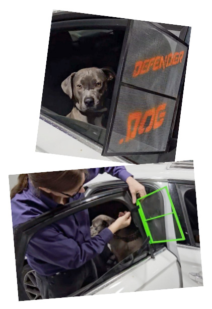 Doggie Defender - Patent Pending